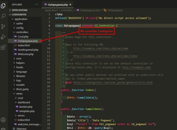 Tutorial Codeigniter Add Or Remove Multiple Input Fields With Jquery 7829